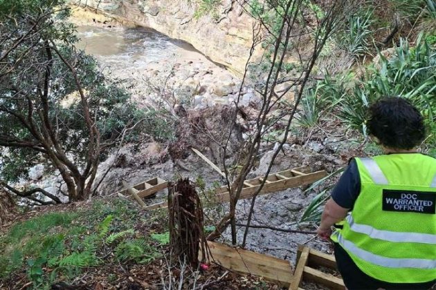 DOC proposes removing weather-damaged Cathedral Cove tracks | Inside ...