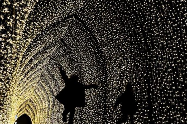 Aotea Square to light up with Winter Light Cathedral installation ...